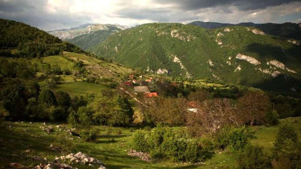 SILNO BOGATSTVO POD SVJETLOM FENJERA | Bjelimići