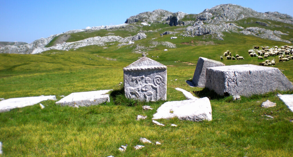 OVČIJA BAŠČA - VISOČICA | Bjelimići